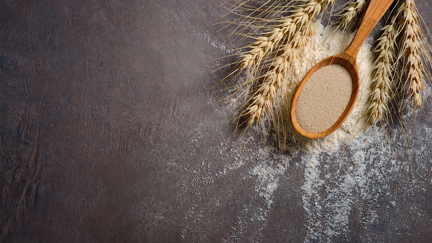 Levure 101 - Bien cuire